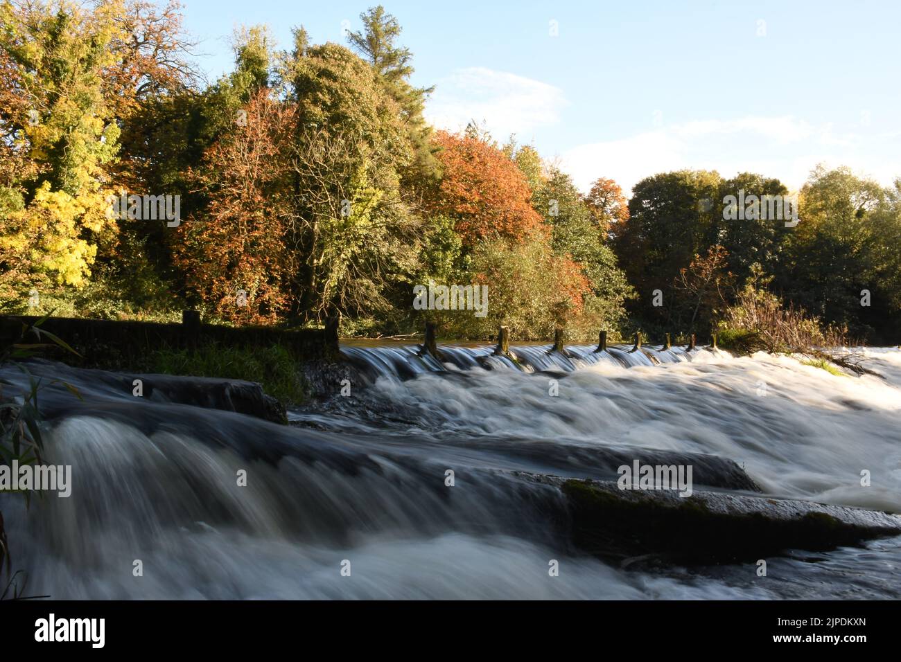 Autumn colours on weir, River Nore, River Nore Linear Park, Riverside ...