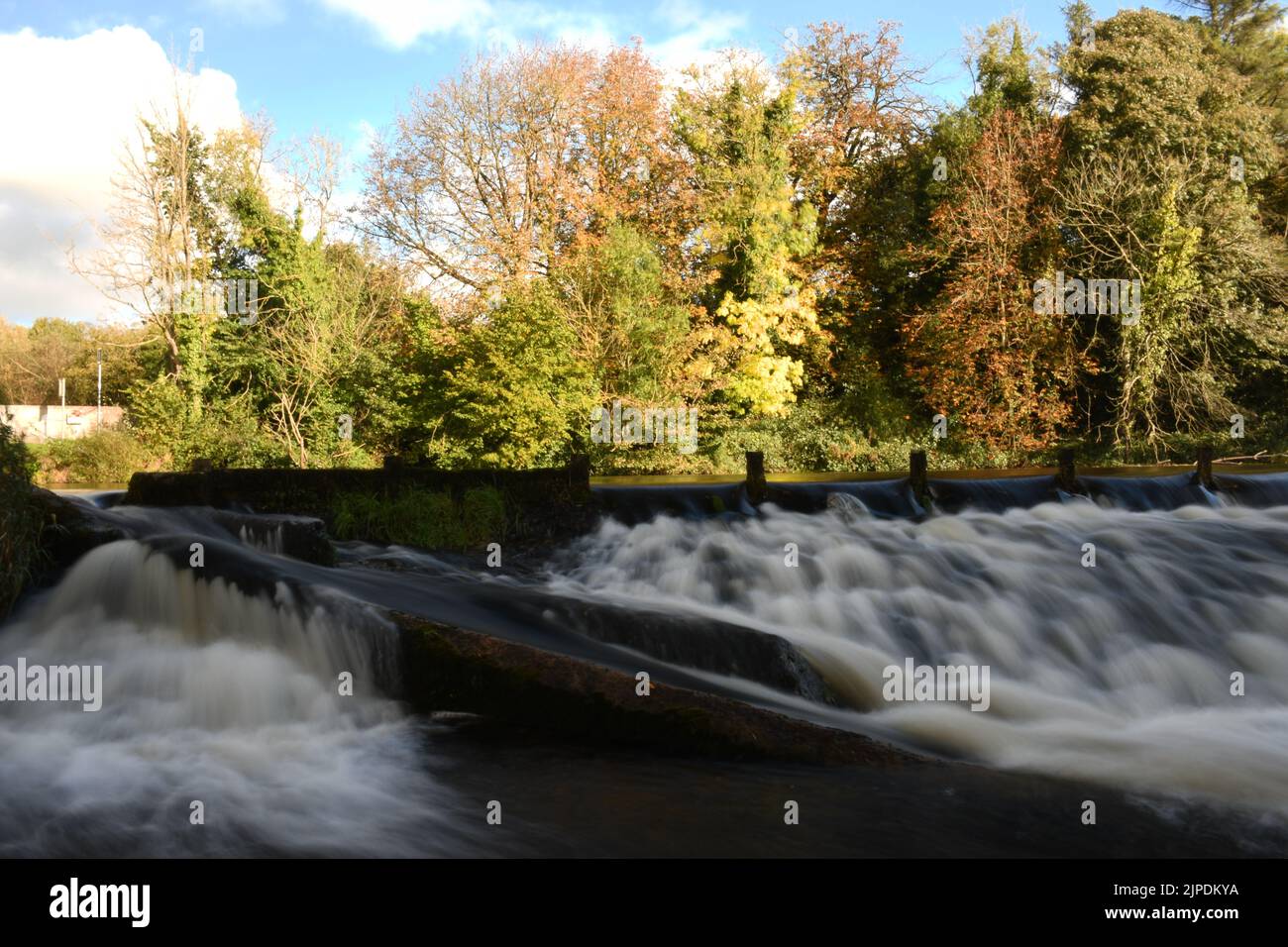Autumn colours on weir, River Nore, River Nore Linear Park, Riverside ...