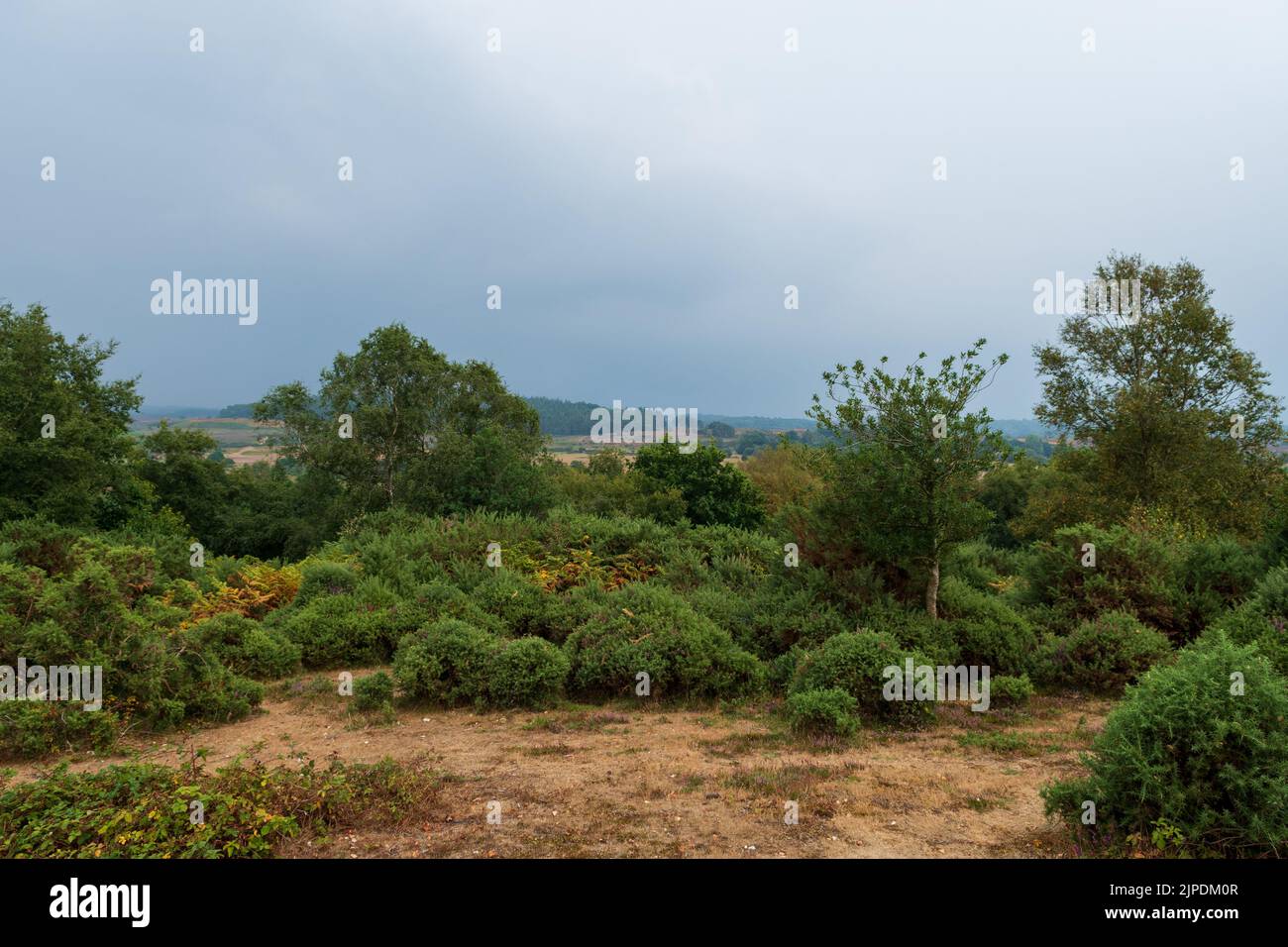 Stormy sky as Thunderstorm darkens the skies above trees in the ...