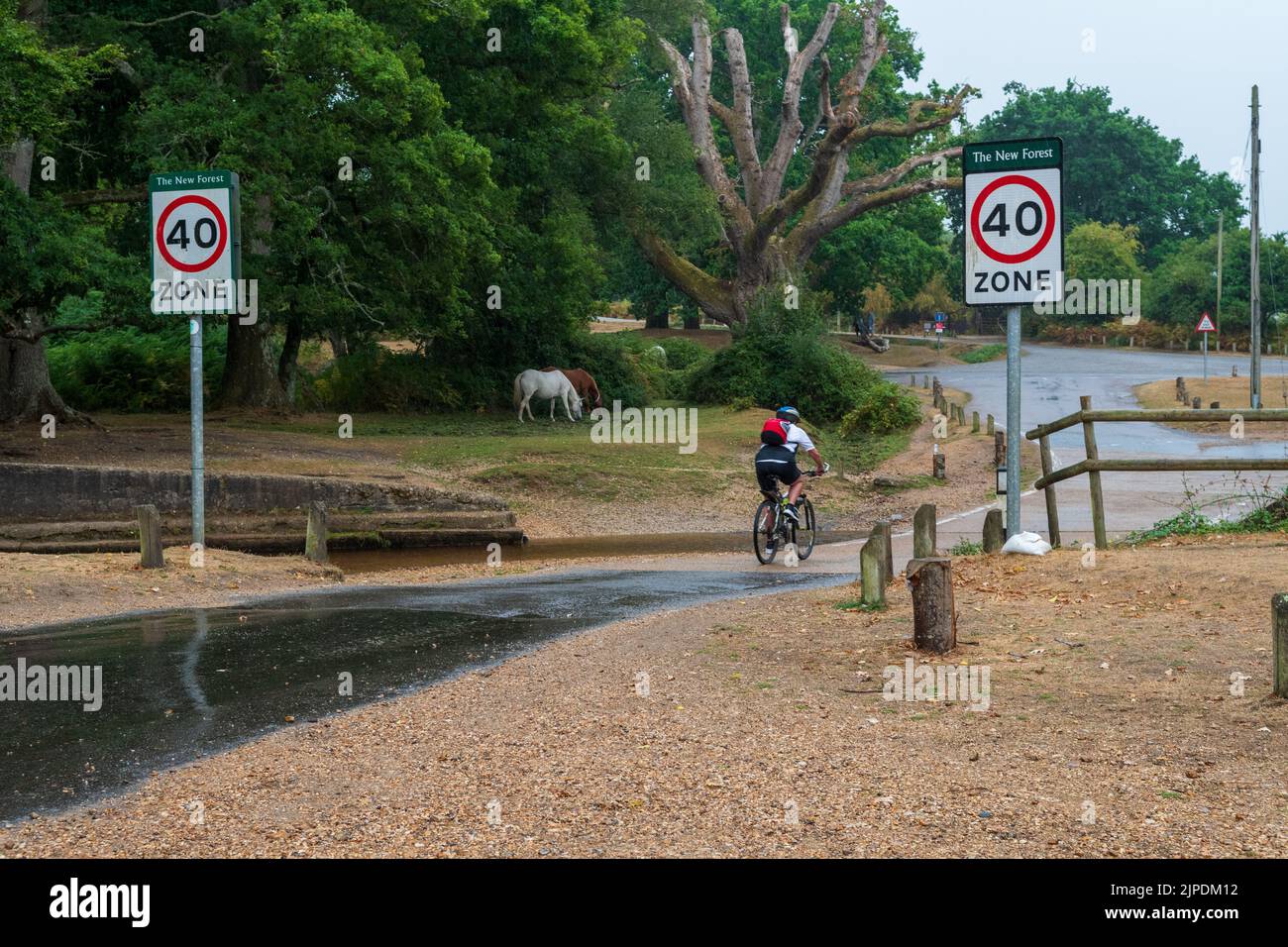Moyles Court, Ringwood, New Forest, Hampshire, UK, 17th August 2022 ...