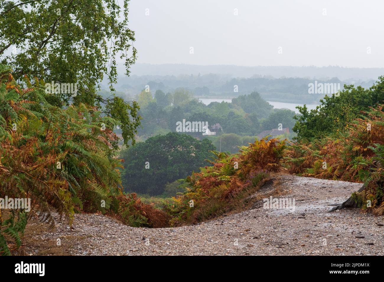 Moyles Court, Ringwood, New Forest, Hampshire, UK, 17th August 2022 ...