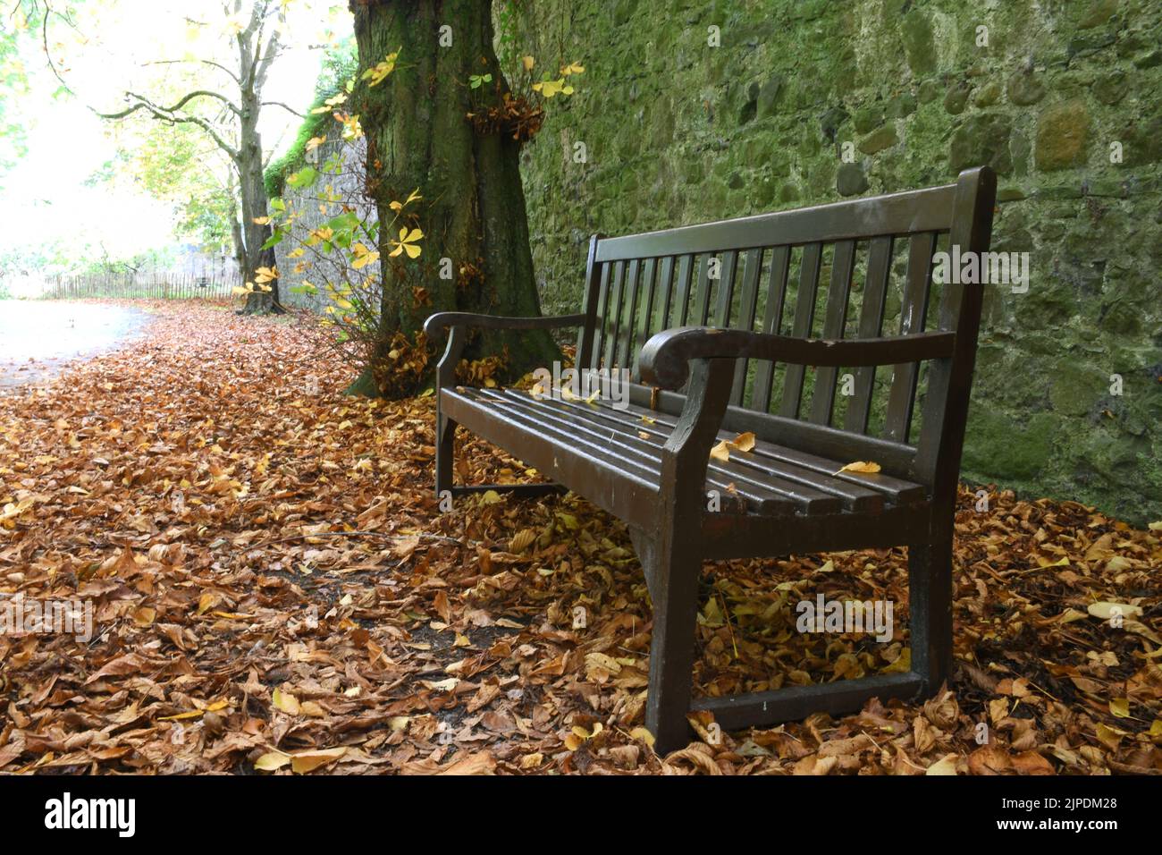 Bench in Kilkenny Castle Park, Kilkenny, Ireland Stock Photo - Alamy
