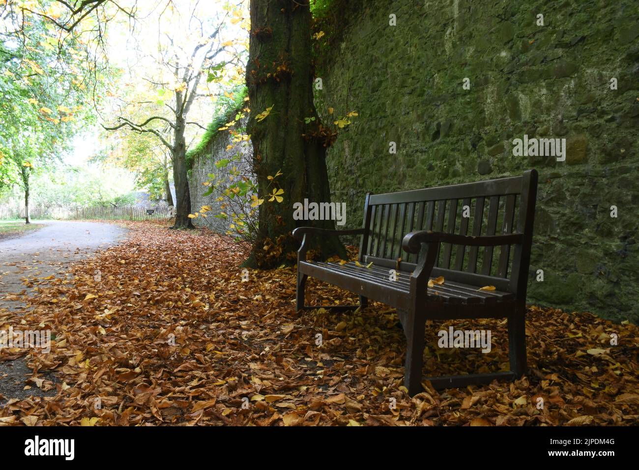 Bench in Kilkenny Castle Park, Kilkenny, Ireland Stock Photo - Alamy