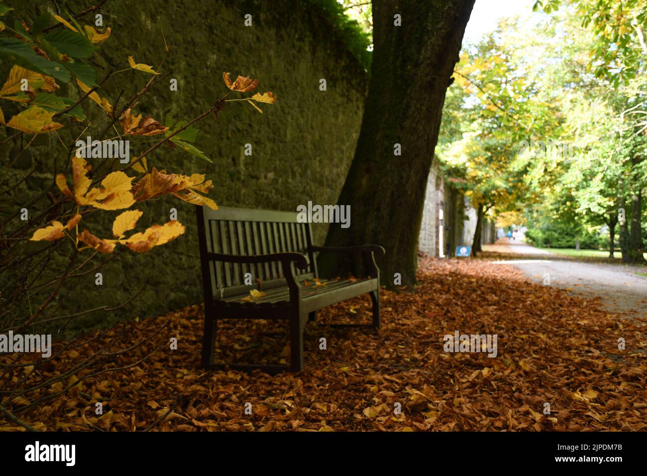 Bench in Kilkenny Castle Park, Kilkenny, Ireland Stock Photo - Alamy