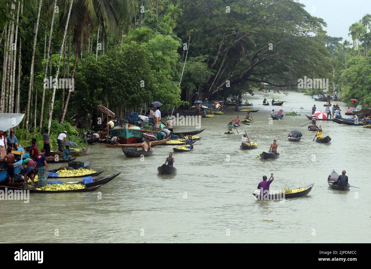 Jhalokati hi-res stock photography and images - Alamy