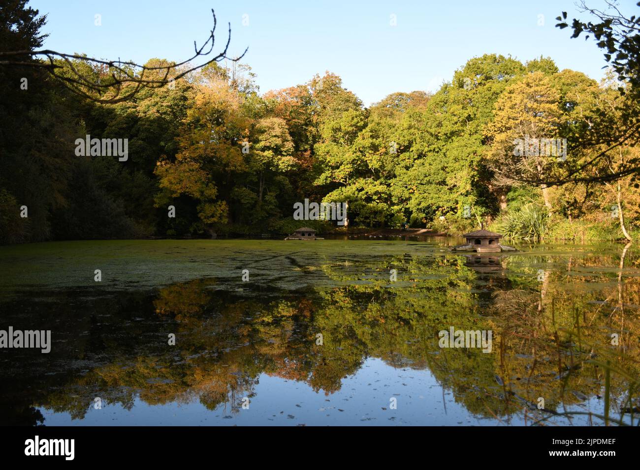 Pond in kilkenny castle park hi-res stock photography and images - Alamy