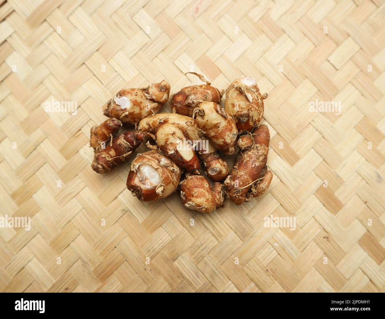 Kaempferia galanga rhizomes or kencur, aromatic ginger, sand ginger ...