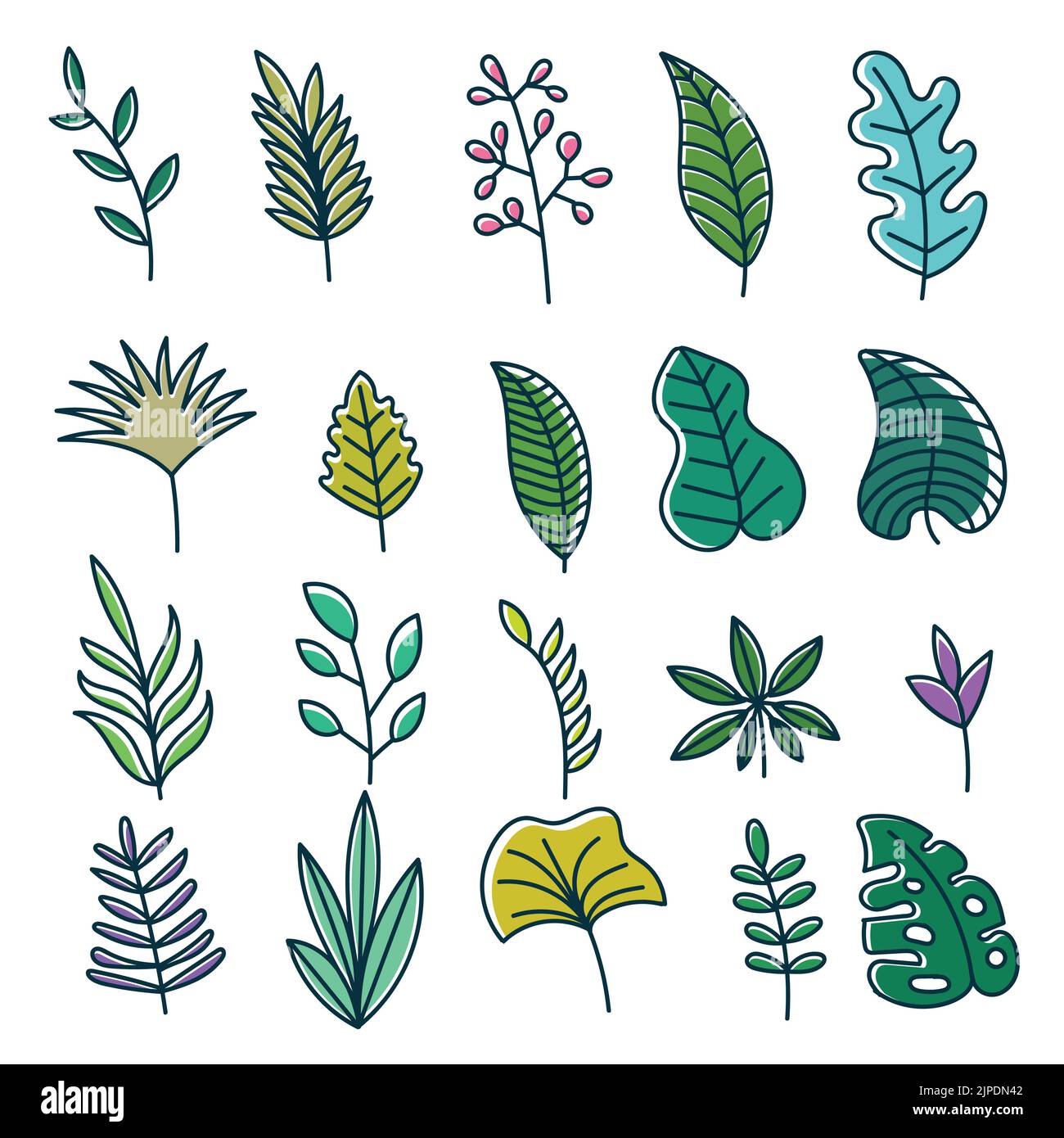 Floral nature elements decoration vector illustration Stock Vector ...