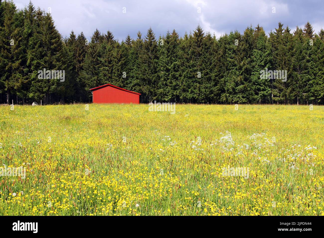 Red barn blooming field hi-res stock photography and images - Alamy