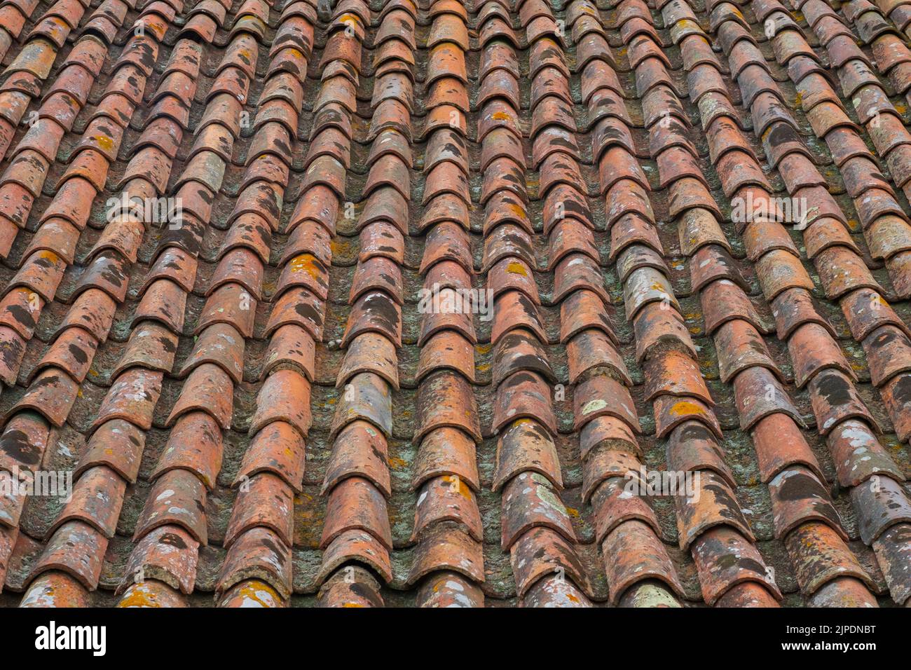 Montages moss hi-res stock photography and images - Alamy