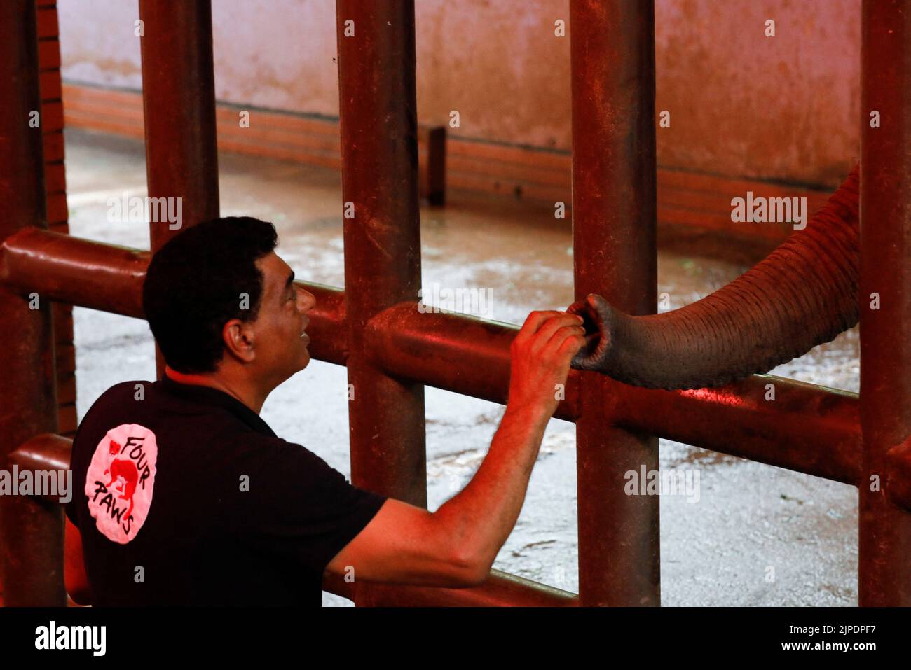 Karachi zoo in karachi hi-res stock photography and images - Alamy