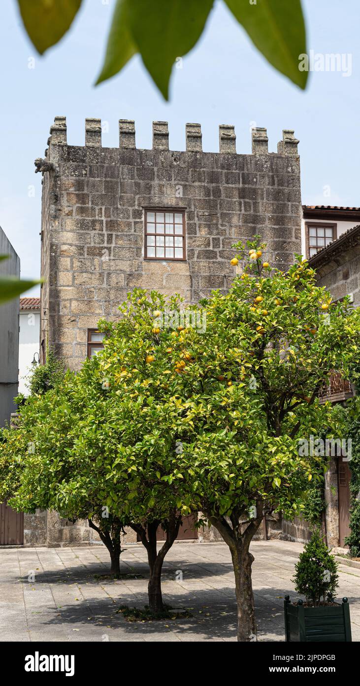 Orange trees square. Guimaraes, Portugal Stock Photo - Alamy