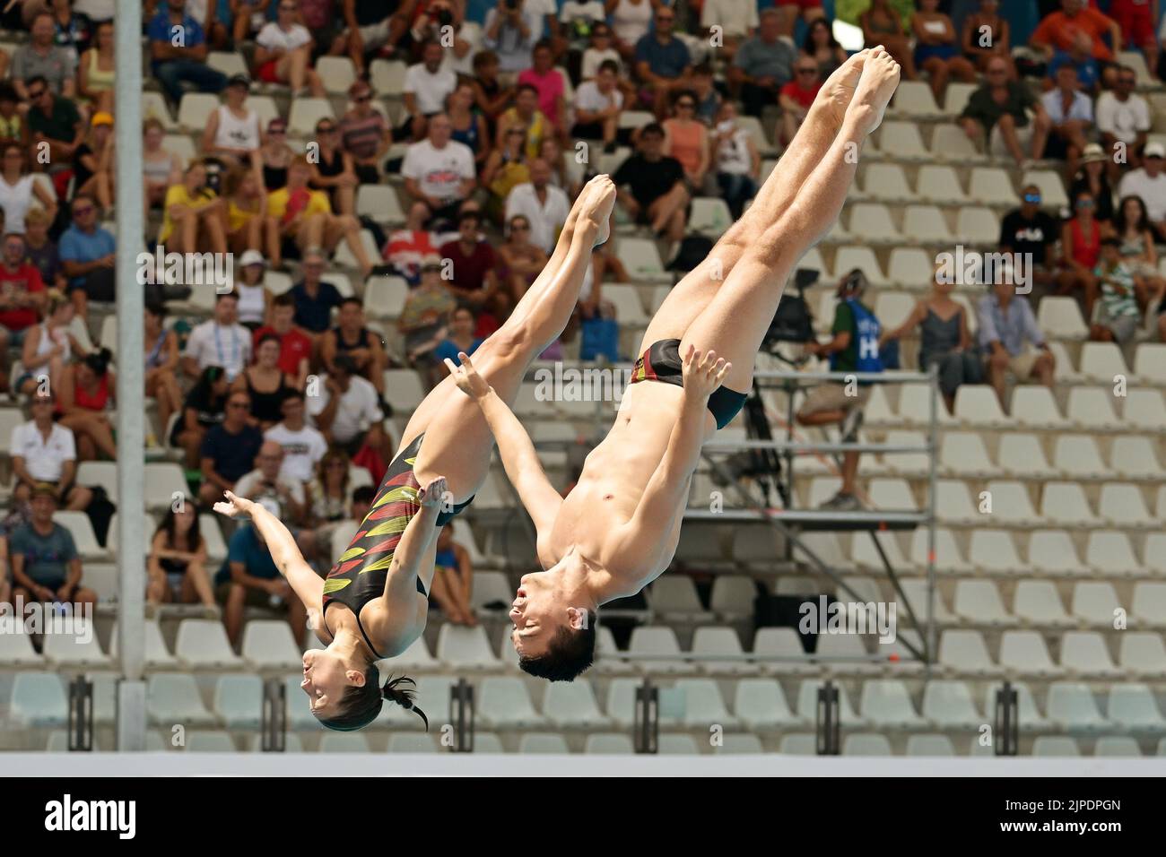 Rome, Italy. 17th Aug, 2022. Rome, August 17, 2022 European Swimming ...