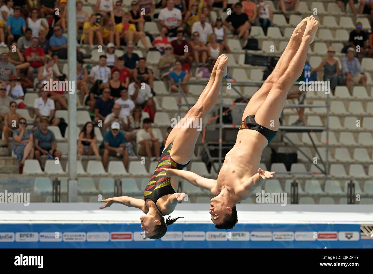 Rome, Italy. 17th Aug, 2022. Rome, August 17, 2022 European Swimming ...