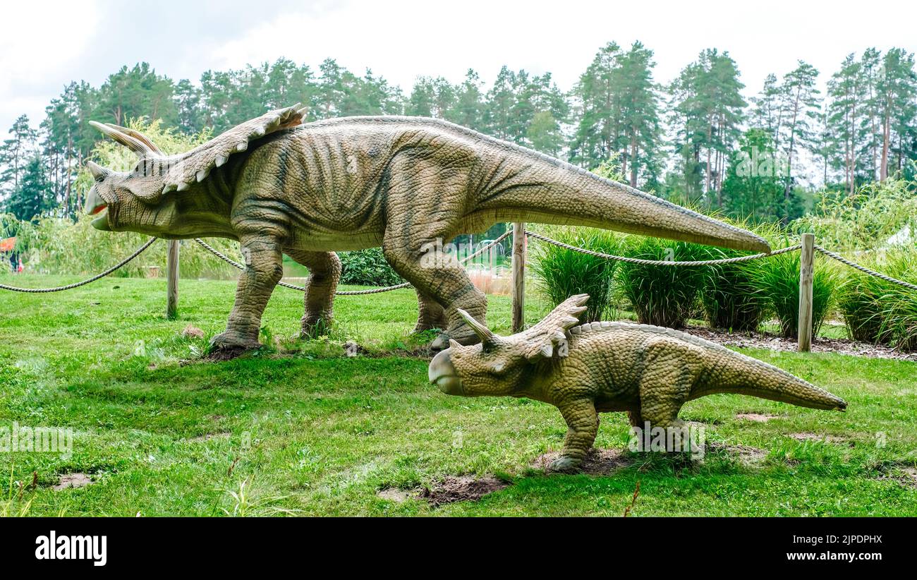 Close-up of a robotic dinosaur of the triceratops species in an ...