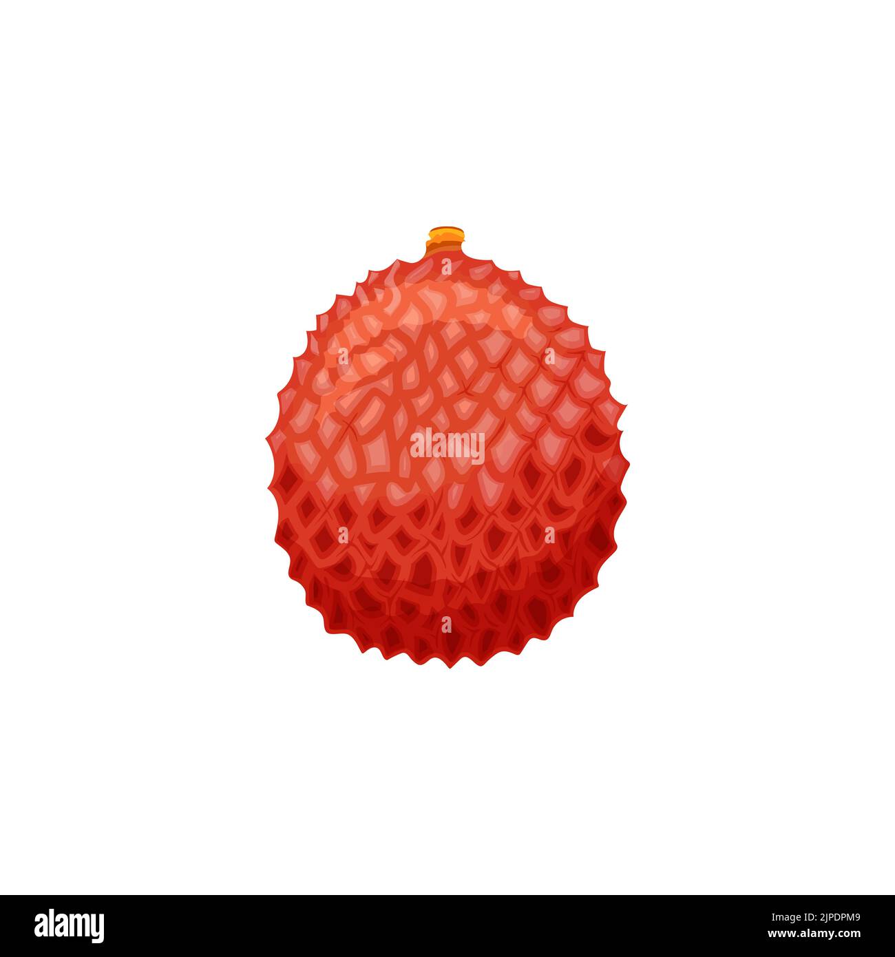 Litchi isolated fruit tropical dessert isolated flat cartoon icon ...