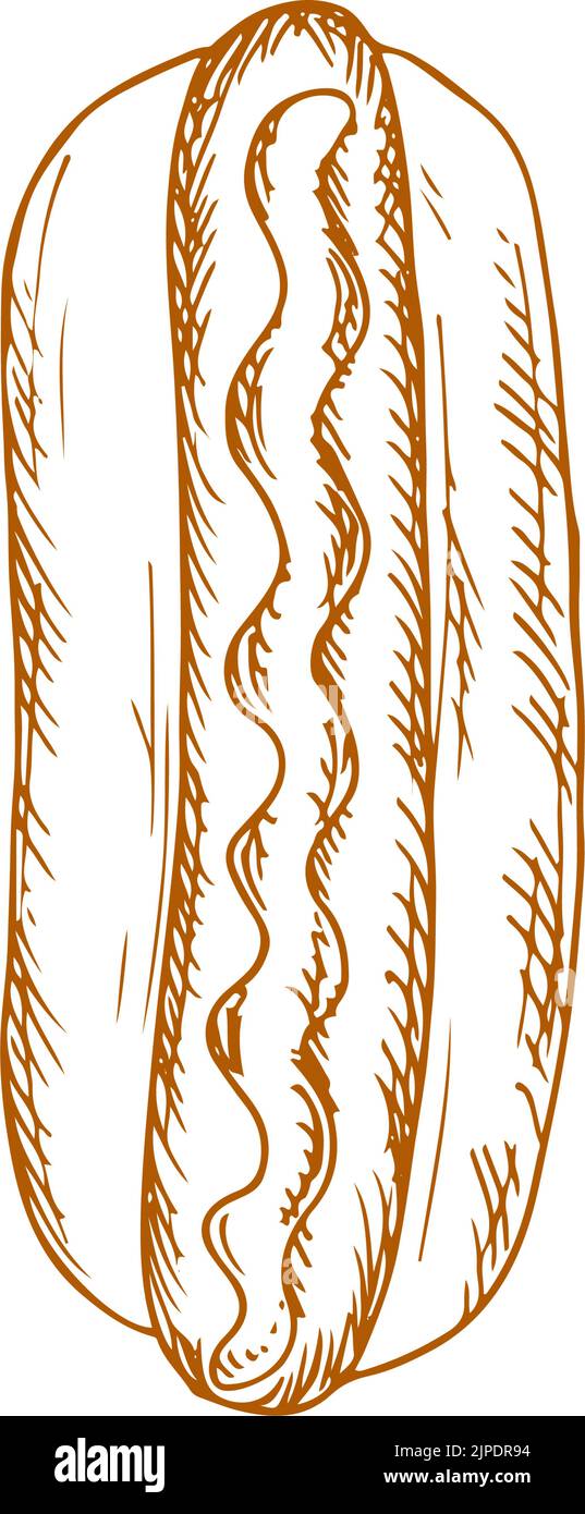 Hotdog bun with sausage and ketchup isolated sketch. Vector fastfood ...