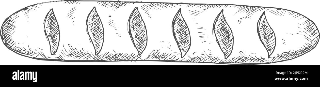 French baguette isolated oblong shape bun sketch. Vector bakery product ...