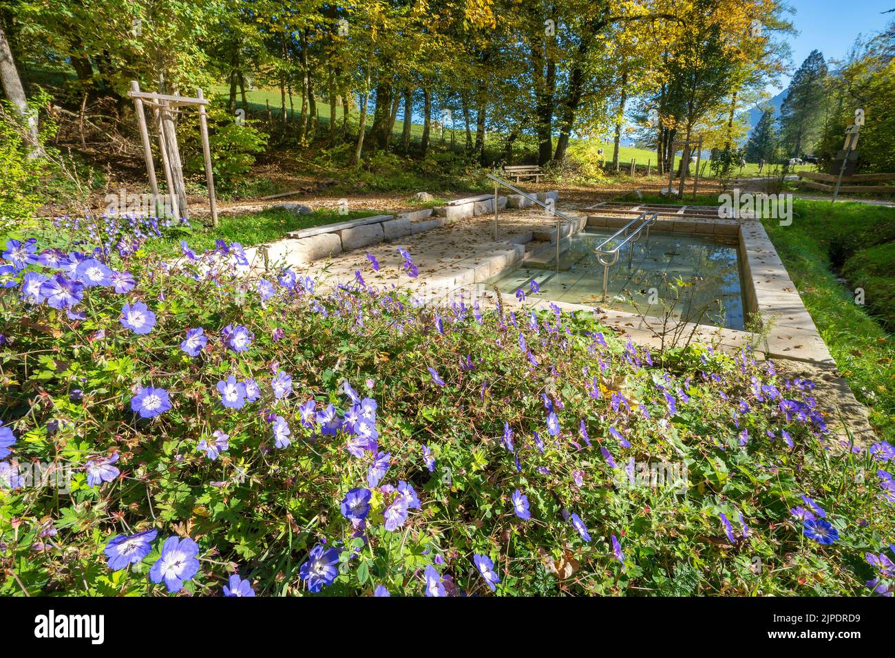 pools, kneipp pool, kneipp, pool, kneipp pools, kneipps Stock Photo - Alamy