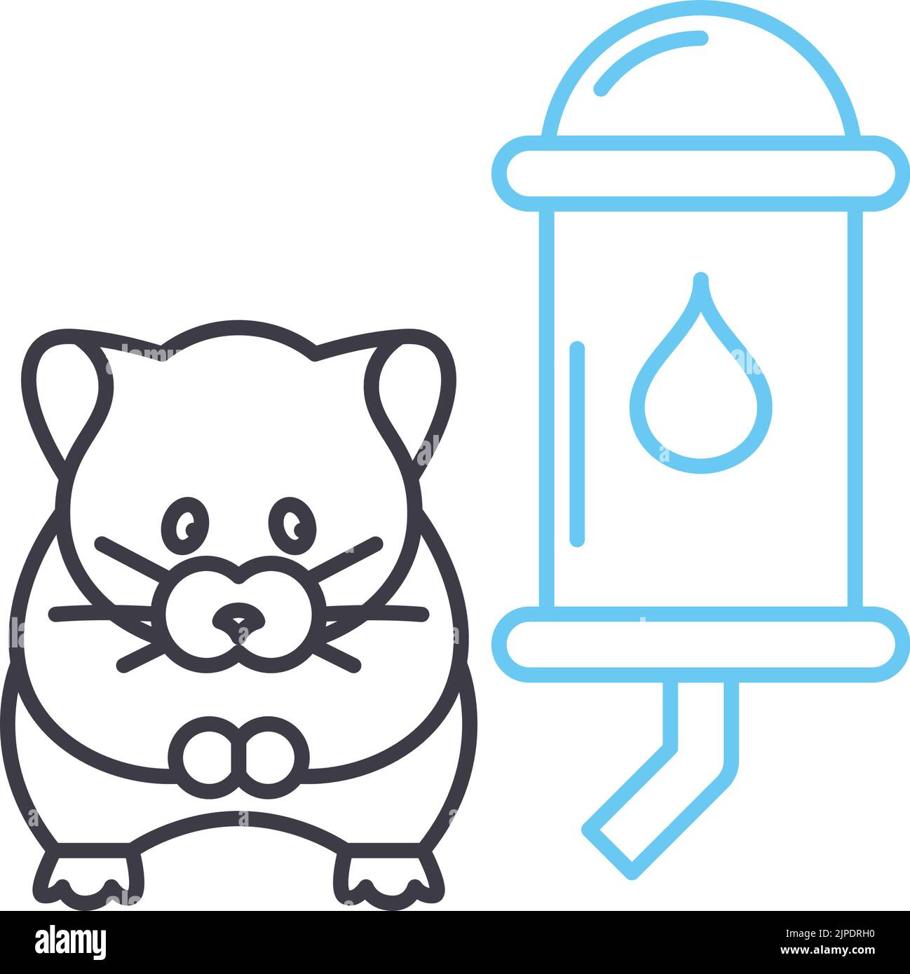 Hamster Drinking Water