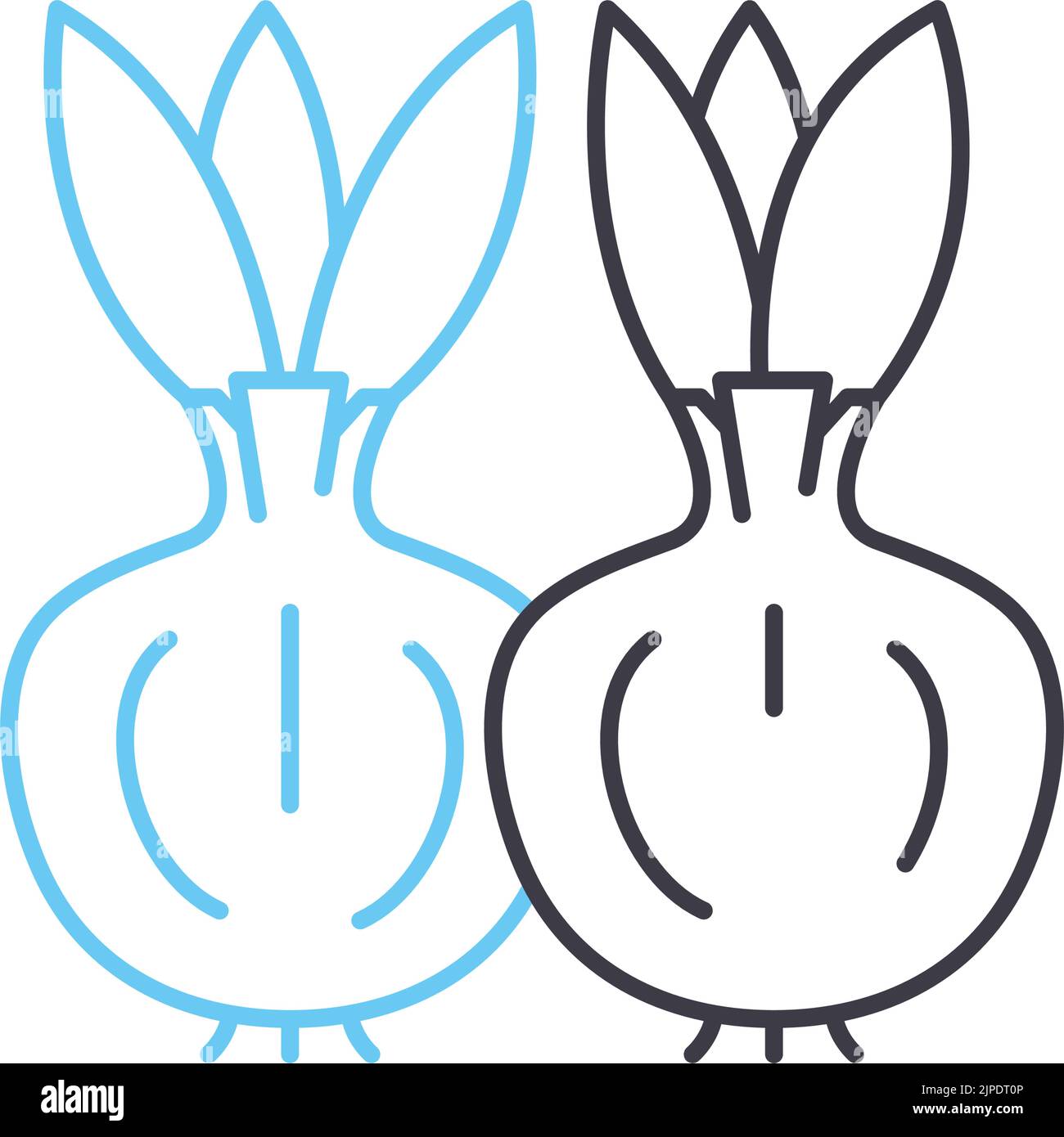 onion vegetable line icon, outline symbol, vector illustration, concept ...