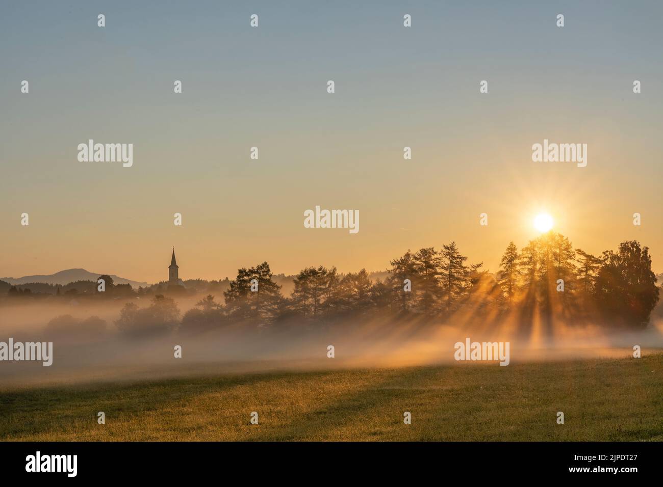 backlighting, sunrise, sunbeams, bavaria, upper bavaria, morning fog ...