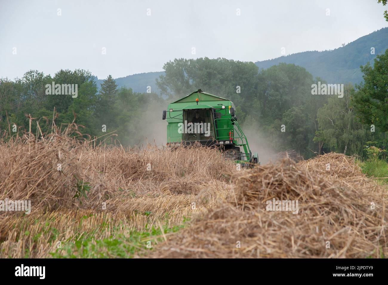 combine, grain harvest, corn field, combines, harvester, grain harvests ...