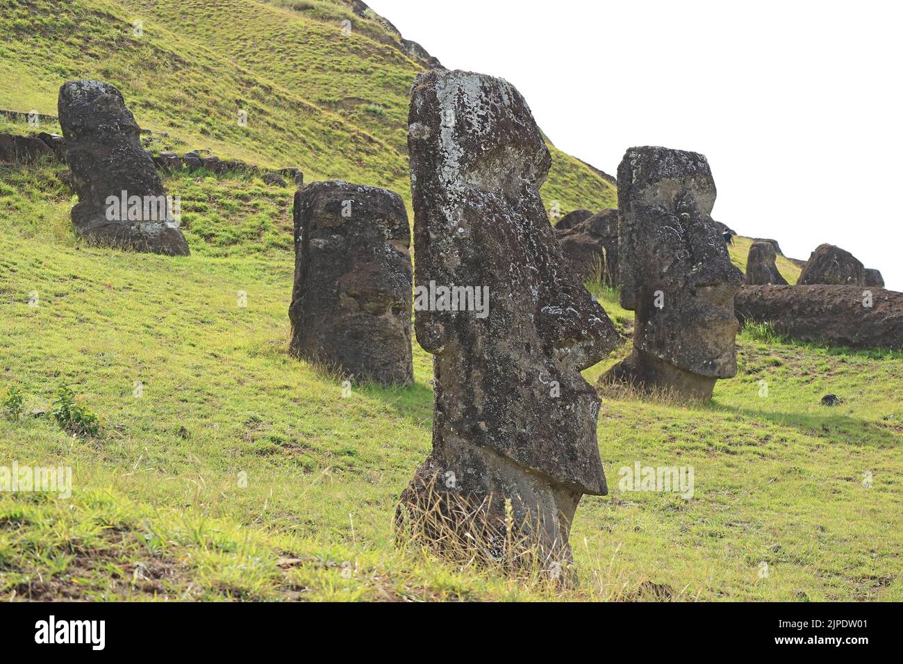 Uncountable abandoned huge Moai statues on Rano Raraku volcano, the ...