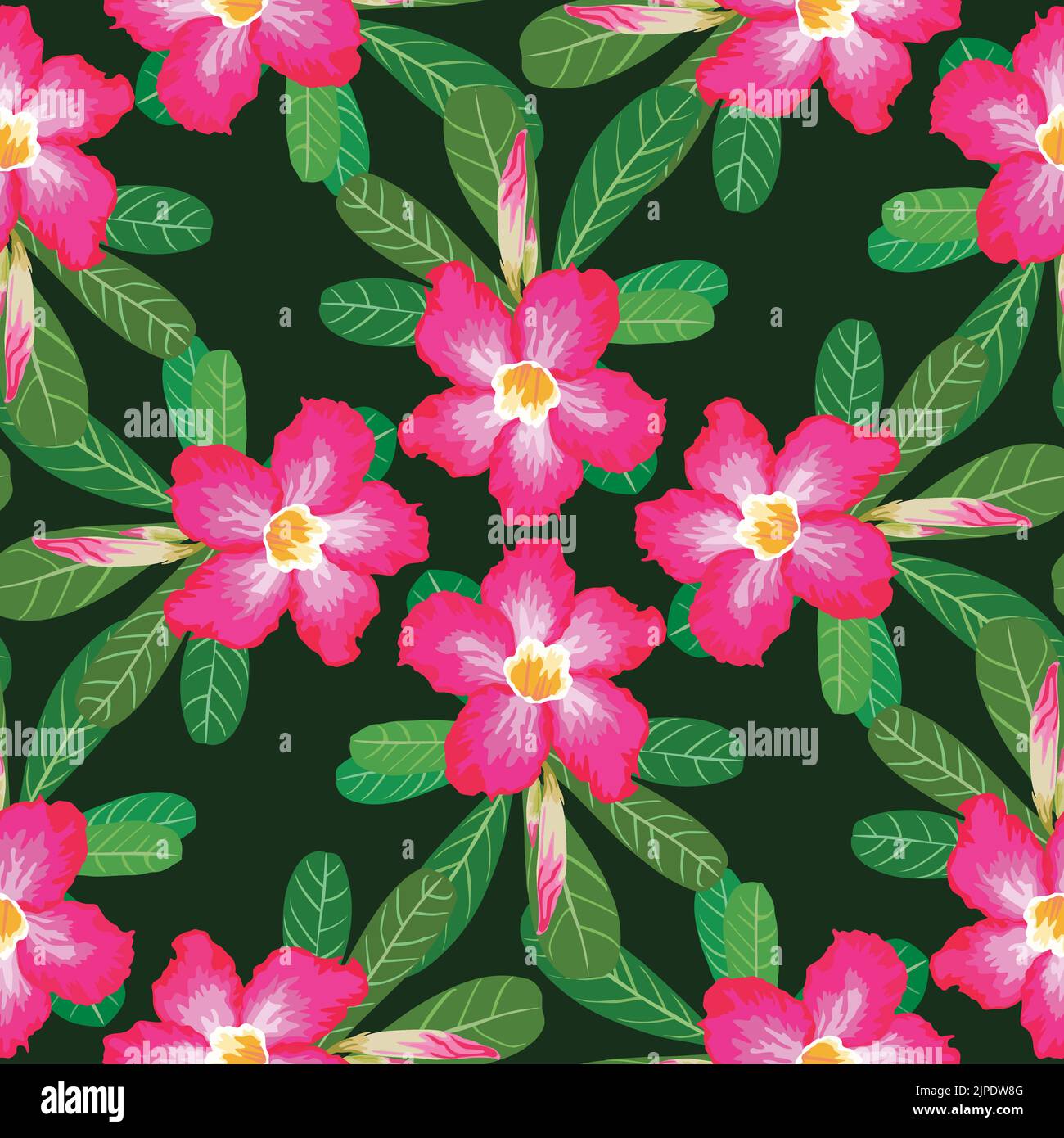 Pink against dark Stock Vector Images - Alamy