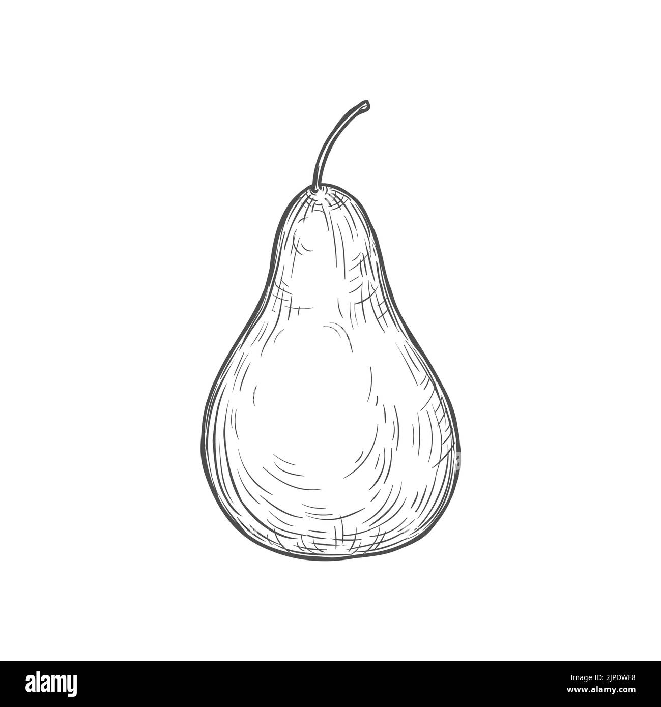 Pear sketch vector icon, isolated monochrome engraved sign of juicy ...