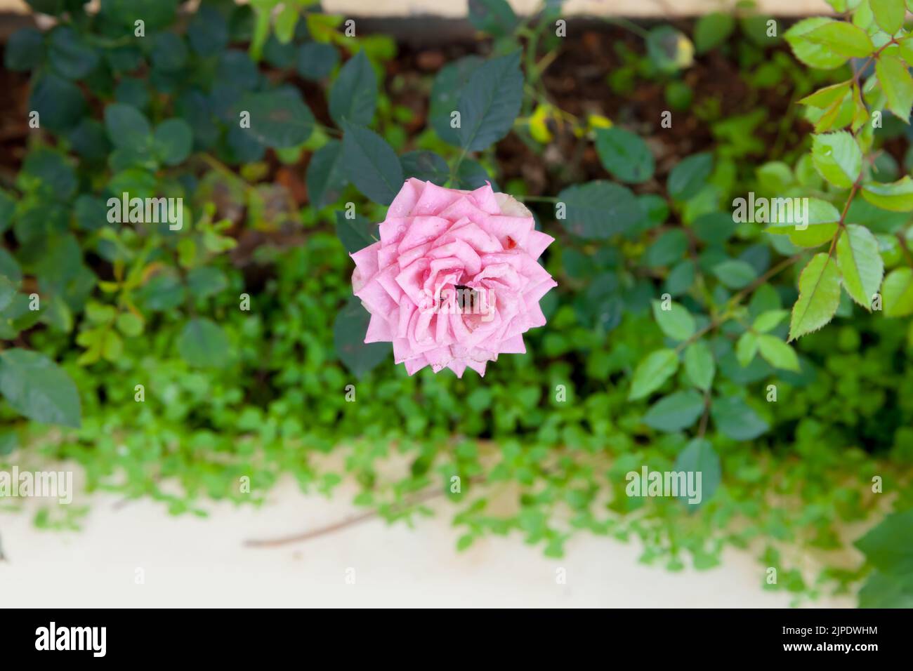 Outside beauty sunny hi-res stock photography and images - Alamy