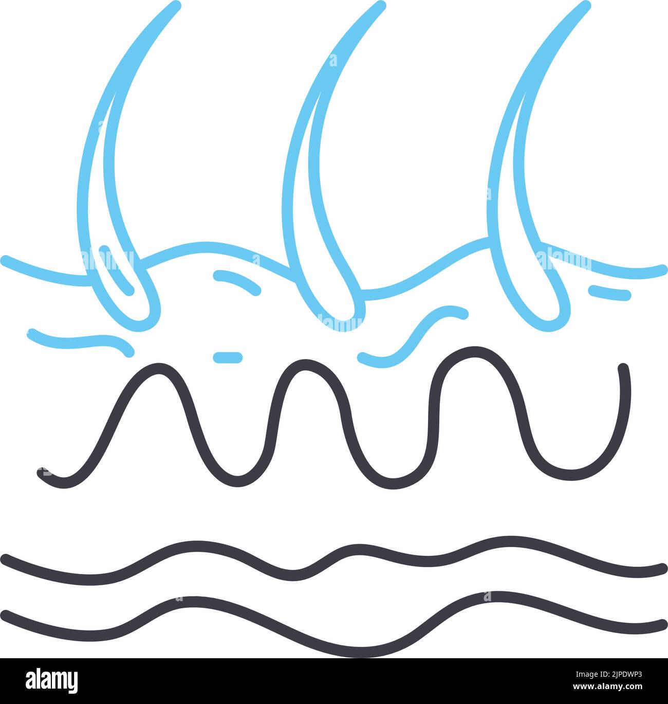 skin line icon, outline symbol, vector illustration, concept sign Stock ...