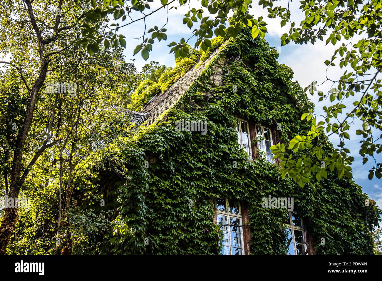 Ivies house hi-res stock photography and images - Alamy