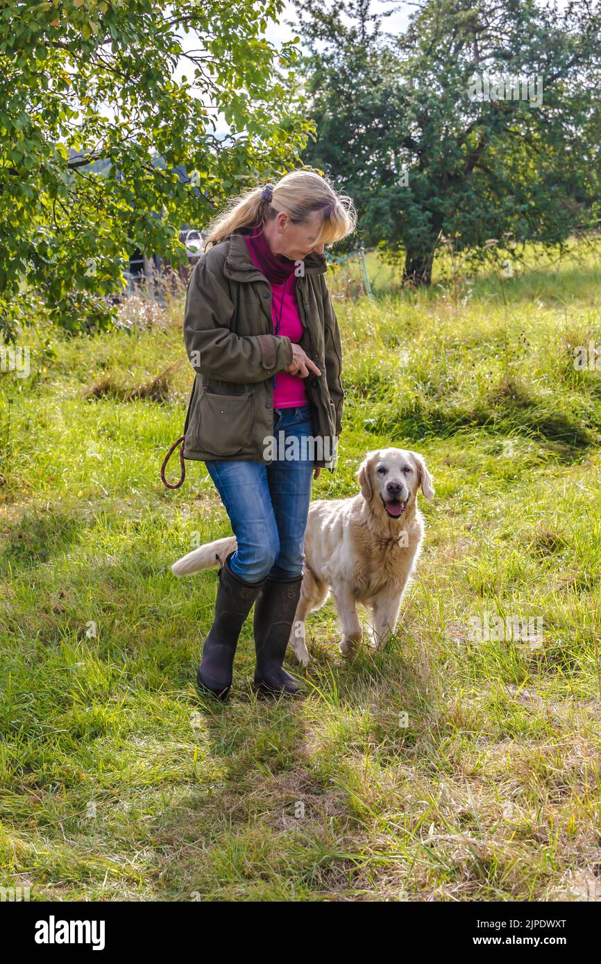 dog, dog training, dog owner, dogs, dog owners Stock Photo - Alamy