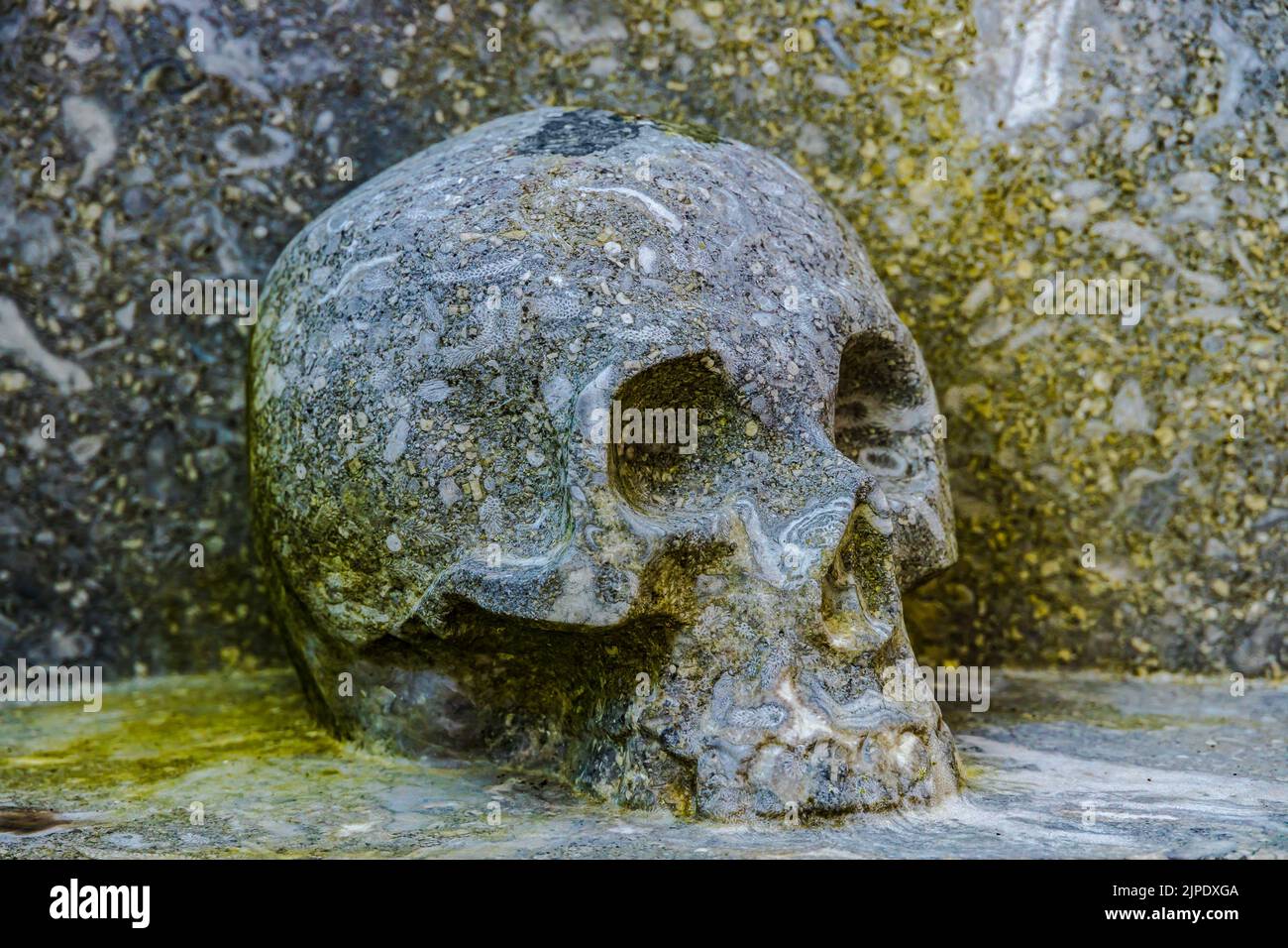 Stone marble skulls hi-res stock photography and images - Alamy