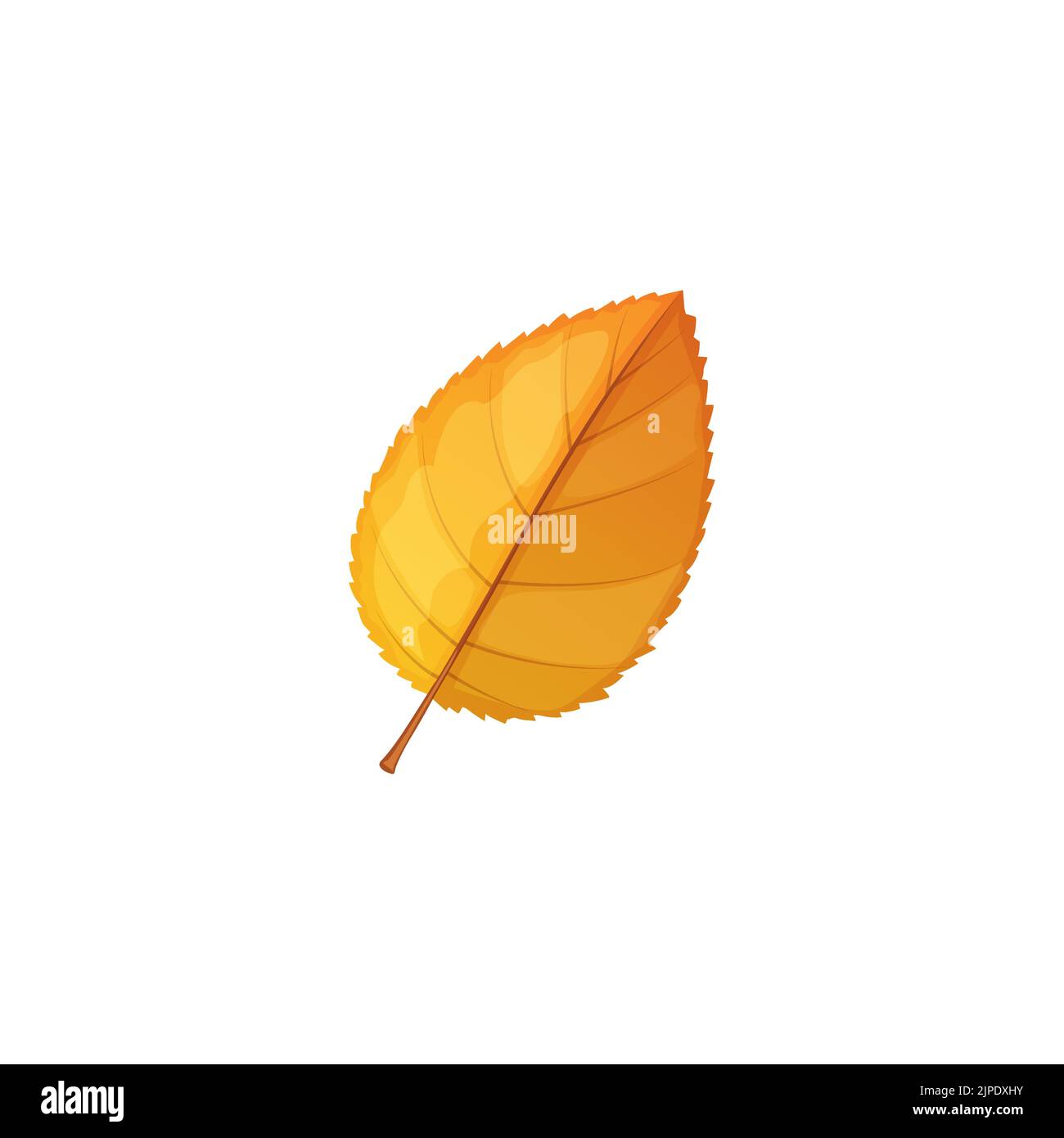 Autumn shrub rose leaf vector icon, cartoon foliage, fallen tree leaf ...
