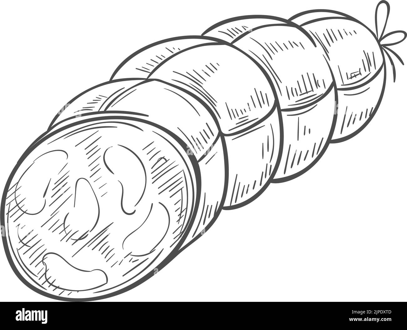 Boiled tied sausage isolated cut kielbasa sketch. Vector pepperoni meat ...