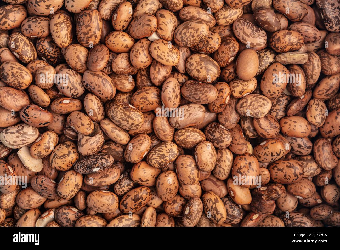 pinto bean, pinto beans Stock Photo - Alamy