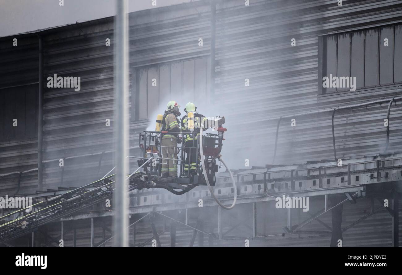 Delitzsch, Germany. 17th Aug, 2022. Firefighters extinguish a fire on ...