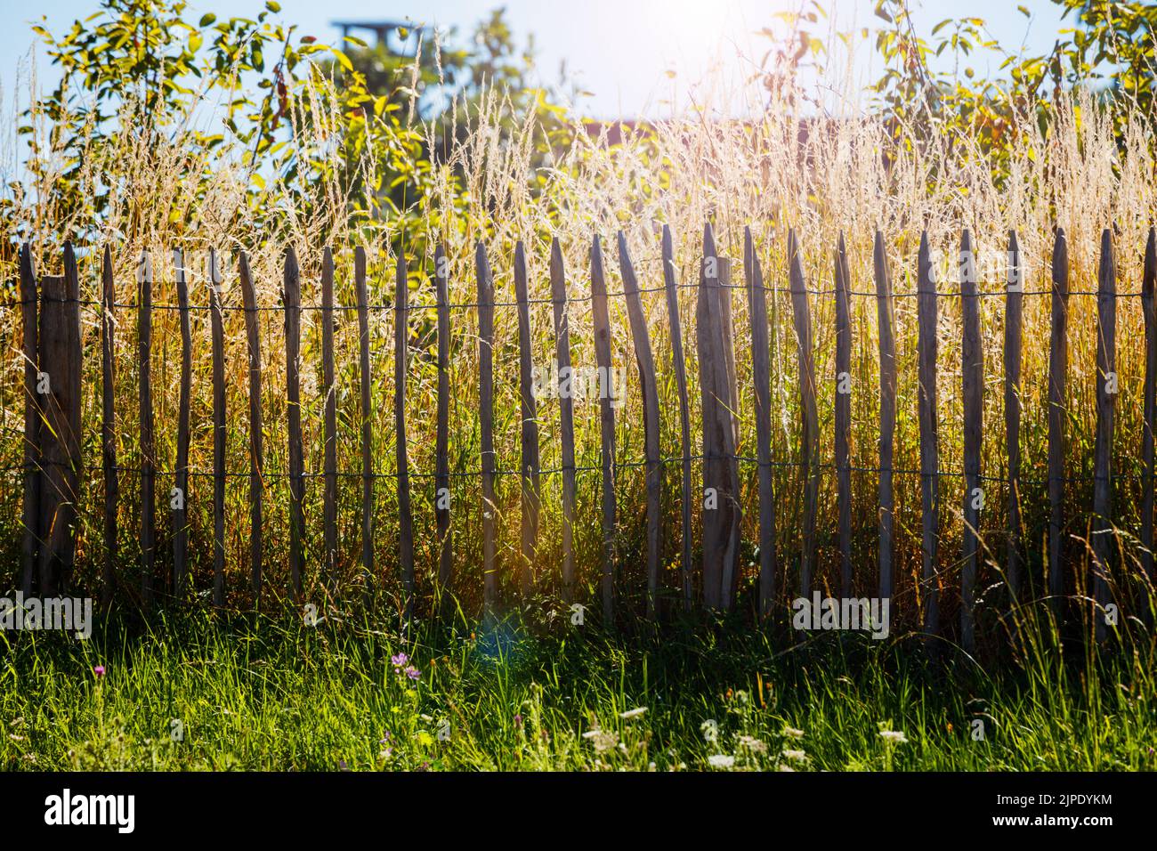 Lawn fence garden hi-res stock photography and images - Alamy