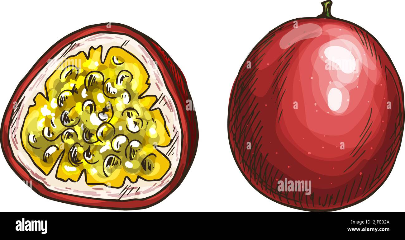 Maracuya isolated whole and cut passion fruit. Vector cross section ...