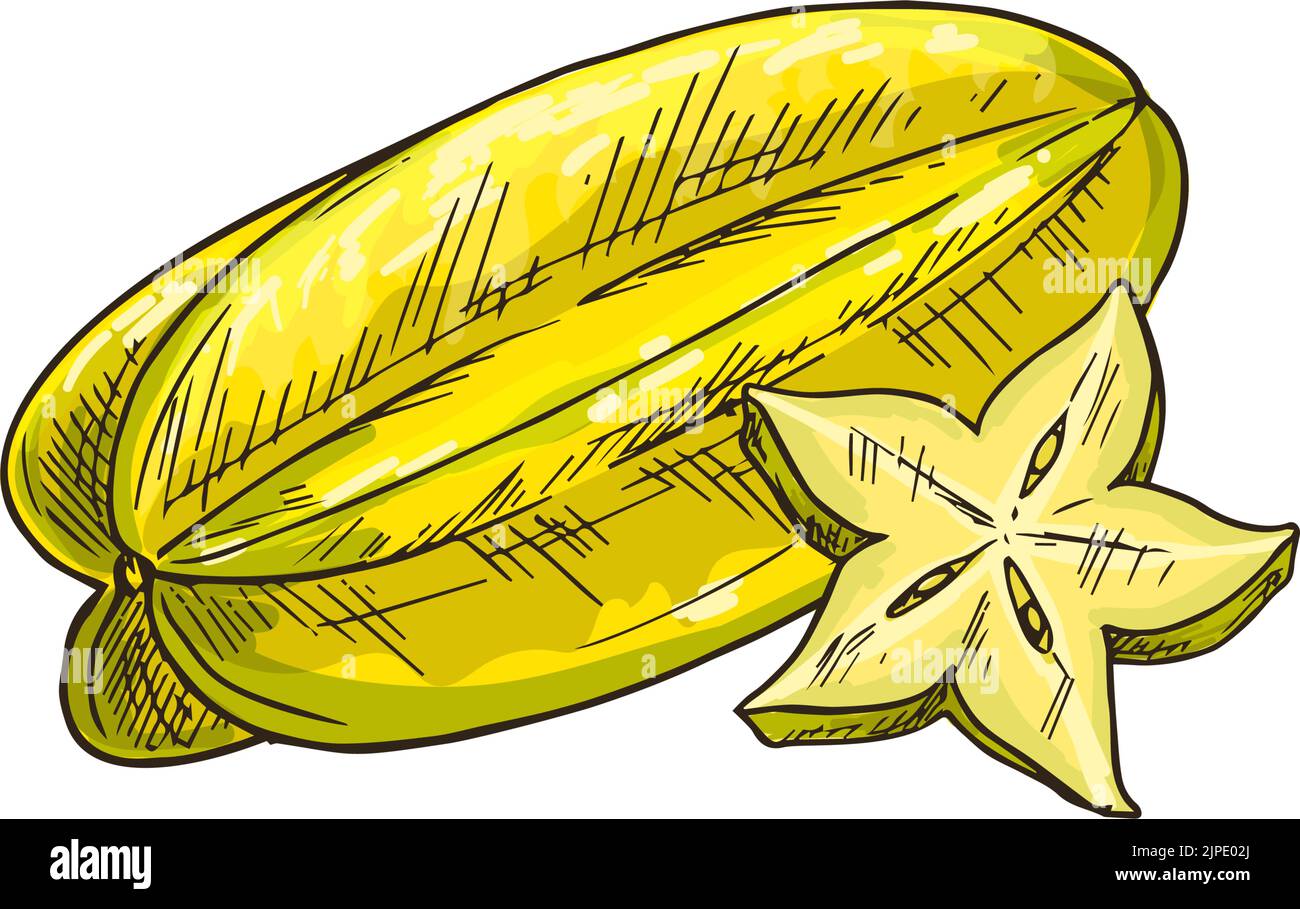 Carambola isolated whole and cut fruit sketch. Vector starfruit star ...
