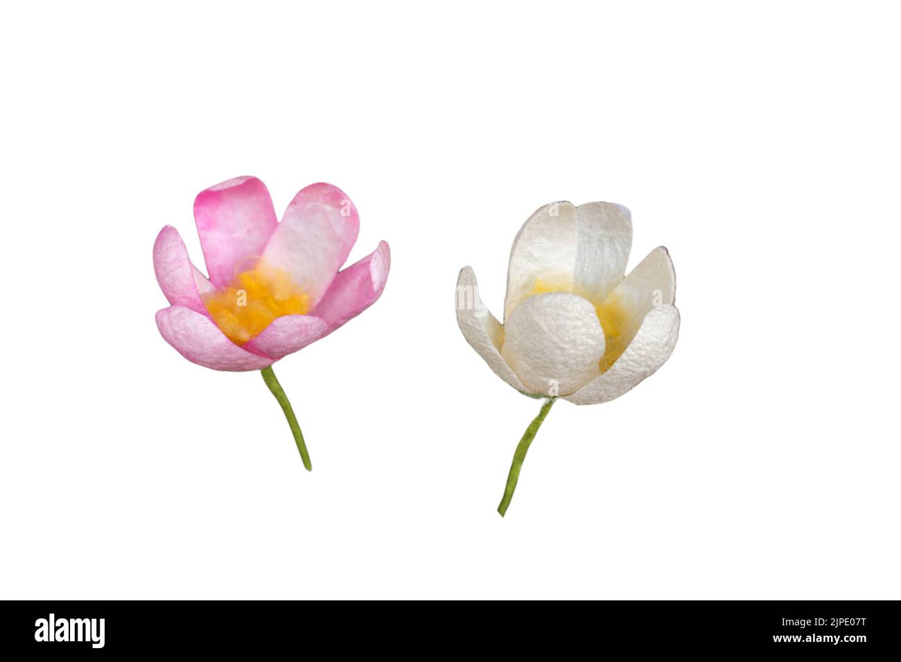 Fake Flowers from paper and fabric. Decor for weddings and funerals ...