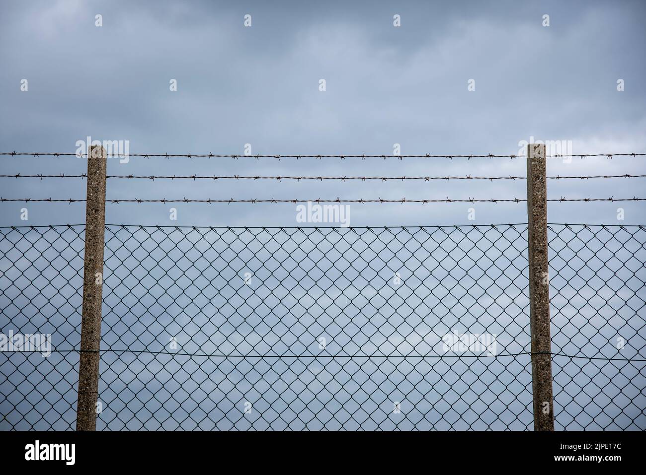 barbed wire fence, barbed wire fences Stock Photo - Alamy