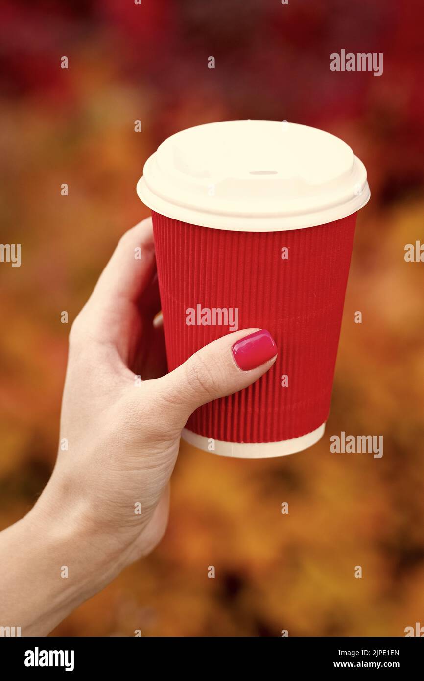 female hand hold morning coffee cup on colorful background, takeaway ...