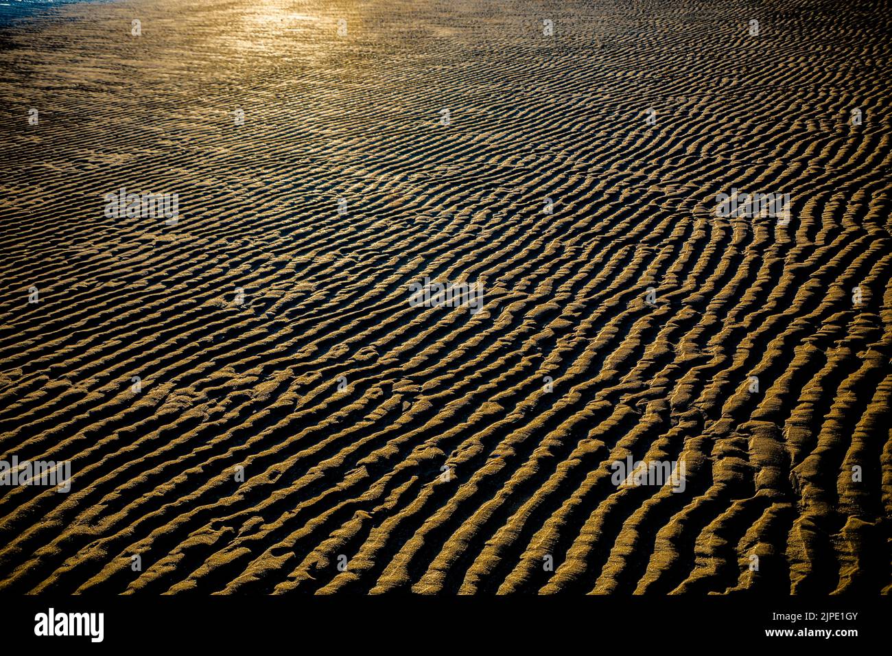 Rippling sand on a beach in North Wales, UK Stock Photo - Alamy