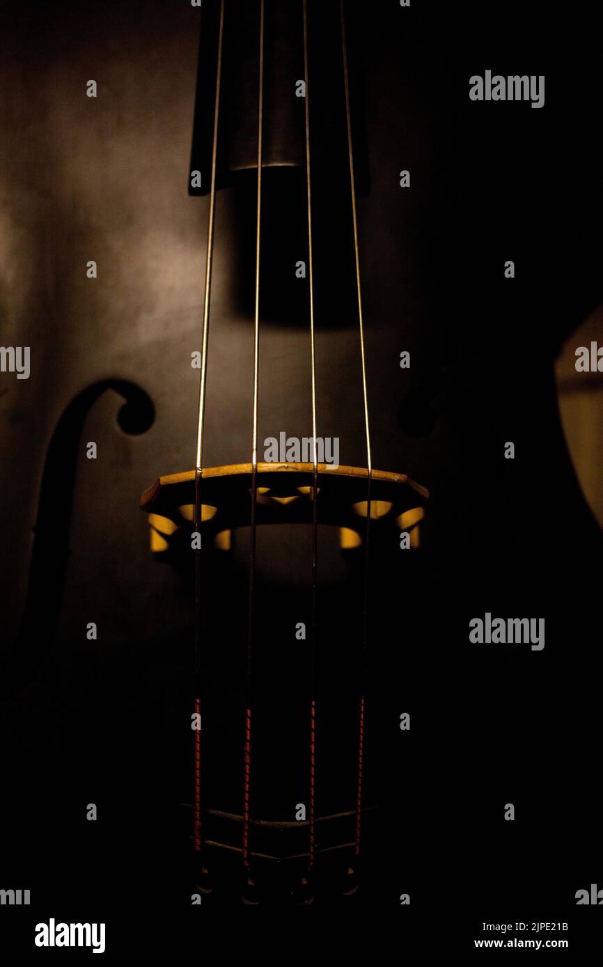 pier, musical instrument string, double bass, piers Stock Photo - Alamy