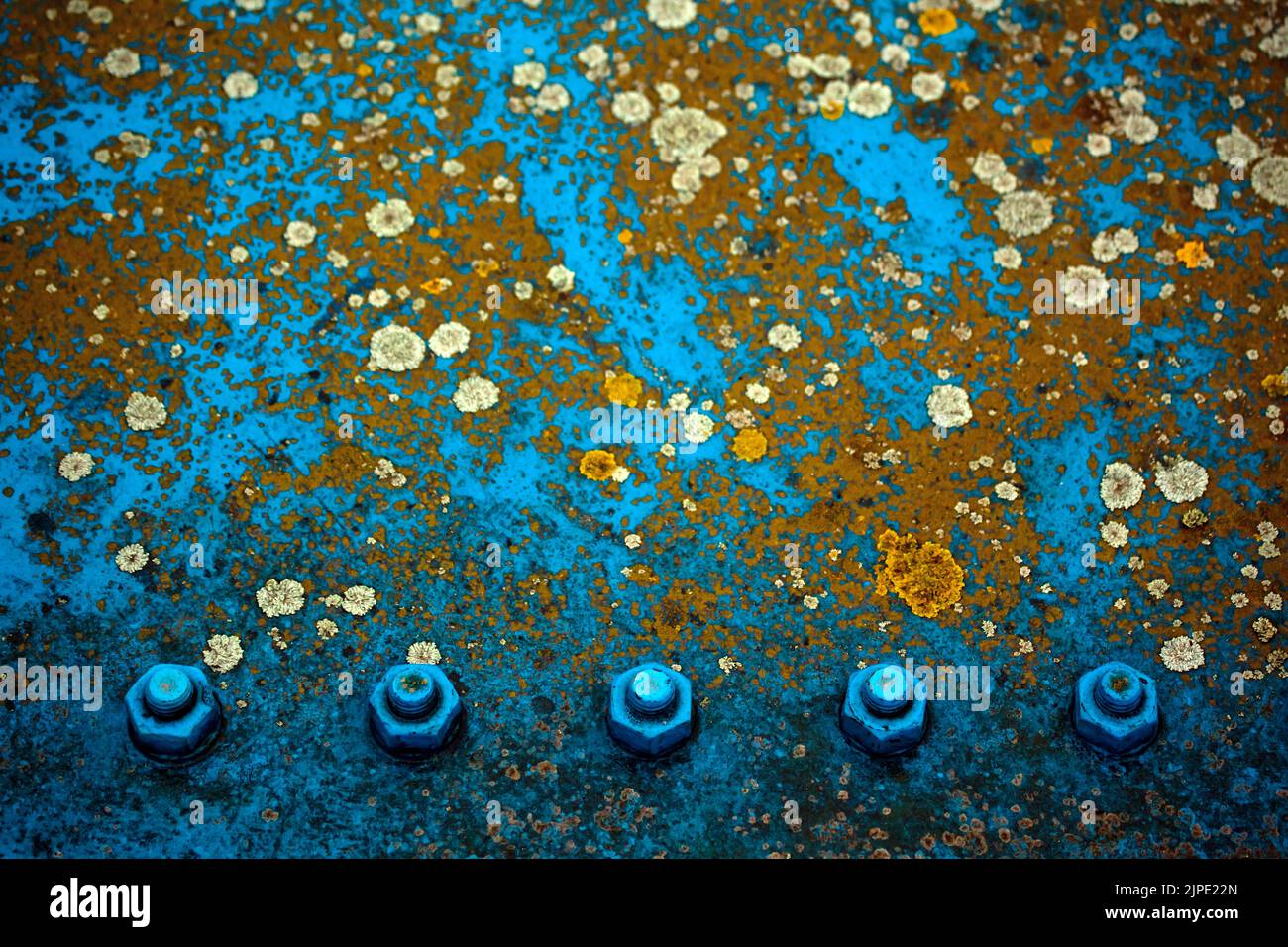 Steel Plate With Bolts Vector