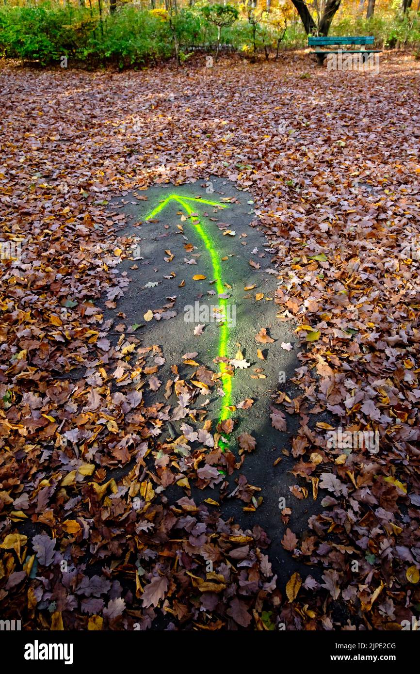 autumn leaves, directional arrow, leaf, directional arrows Stock Photo ...
