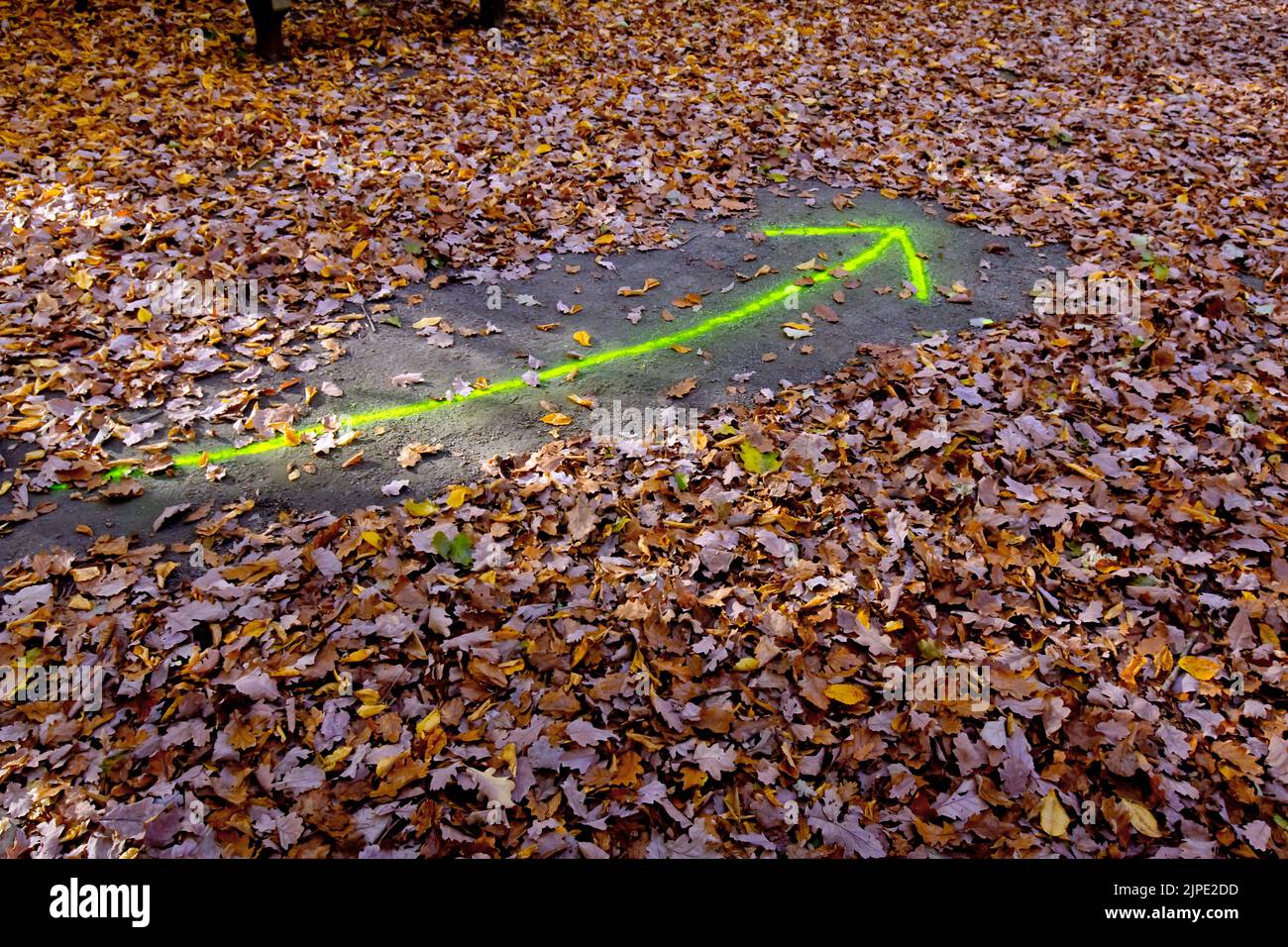 autumn leaves, directional arrow, leaf, directional arrows Stock Photo ...